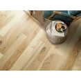 Shaw Sw669 Northington Smooth 5" Wide Smooth Engineered Hardwood ...