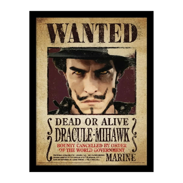 One Piece Live Action Dracule Mihawk Framed Poster - Walmart.ca