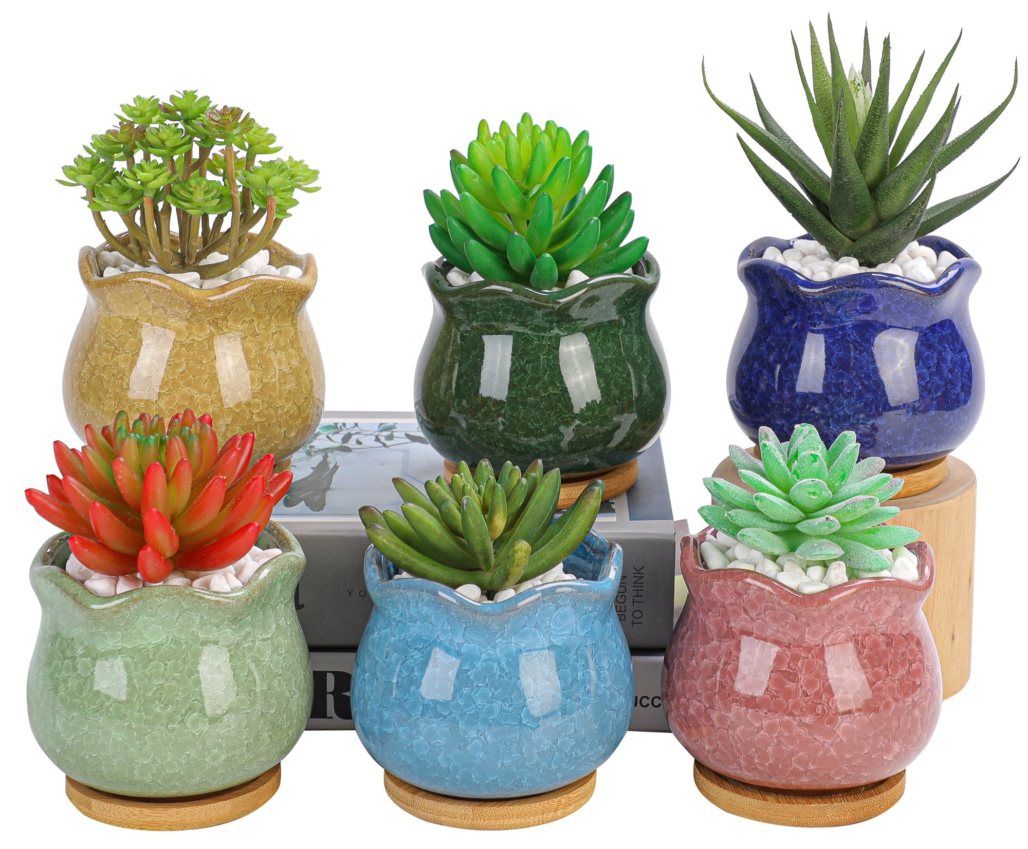 Cute Ceramic Succulent Garden Pots, Planter with Drainage and Attached ...
