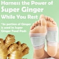 EntreFeet Detox Foot Pads, Cleansing with Ginger and Bamboo Vinegar, 20 ...