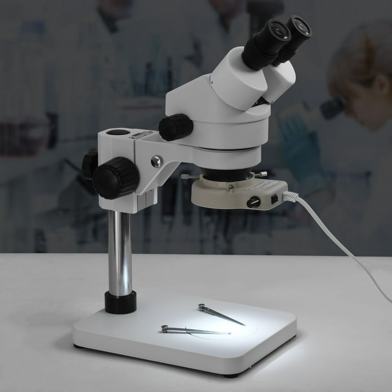 Microscope Light Source