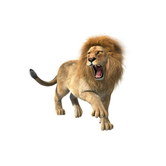 Lion Roaring Full Body 3D Rendering Male Lion Mane Lion Posters For ...