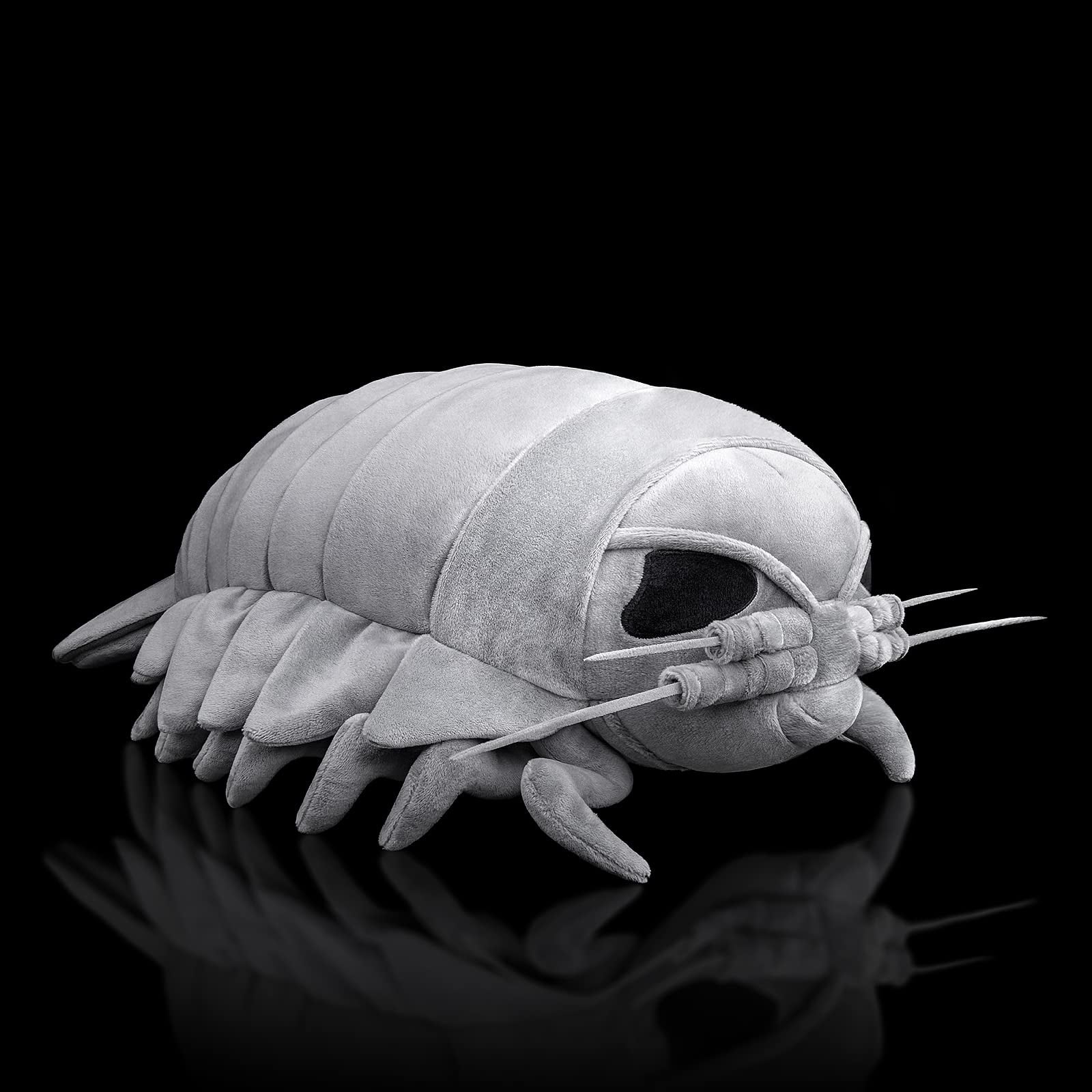 Giant Isopods As Pets