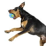 Planet Dog Large Orbee-Tuff Durable, Buoyant, Bouncing Planet Ball Dog ...