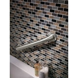 Delta Genuine Parts DF6342SS 42" Stainless Steel Heavy Duty Grab Bar ...