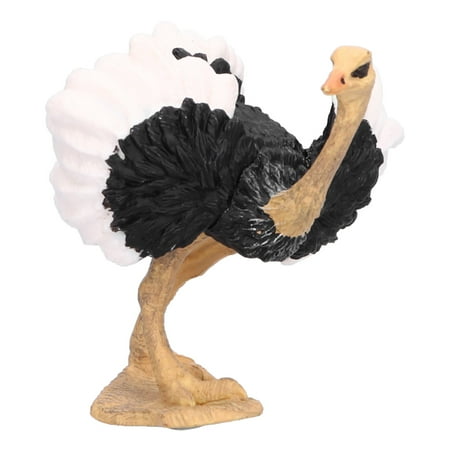 Ostrich Model Figurine, Wildlife Ostrich Simulation Ostrich Model For ...