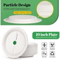 100% Compostable Paper Plates 10 Inch 125 Count Disposable Heavy-Duty ...