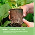 Raindrops Biodegradable Planter Pots for Plants Germination Starter ...