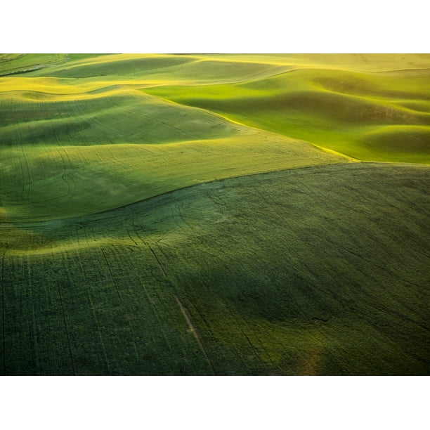 Aerial view of Palouse Region Poster Print by Terry Eggers (18 x 24 ...
