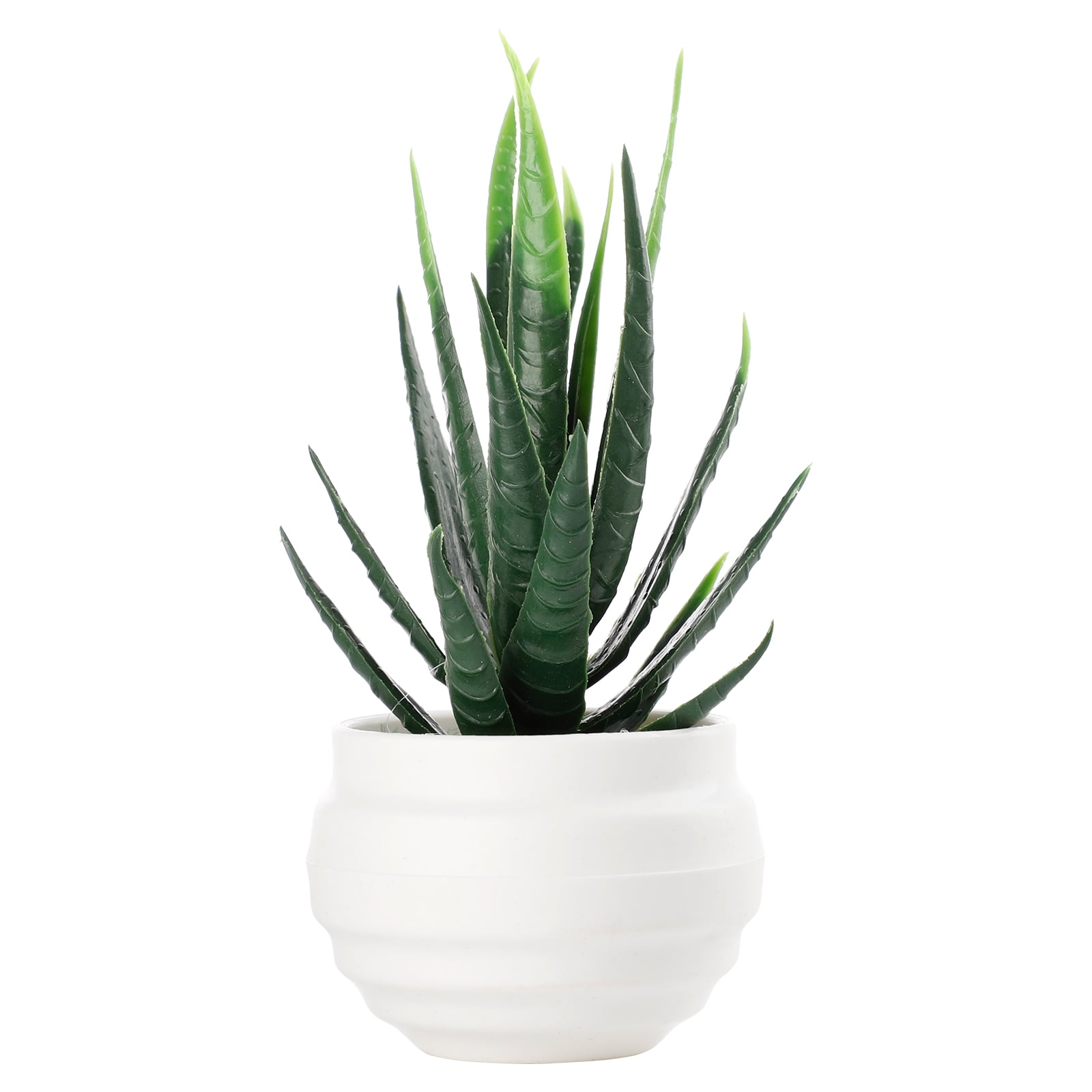 Click here for Dewin (Aloe Vera Potted Plant) Simulation Green Pl... prices