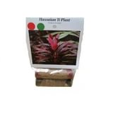 Hawaiian Good Luck Green & Red Live Ti Leaf Plant Cuttings 1Pk 2 Logs ...