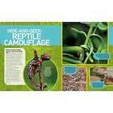 Ultimate Reptileopedia: The Most Complete Reptile Reference Ever ...