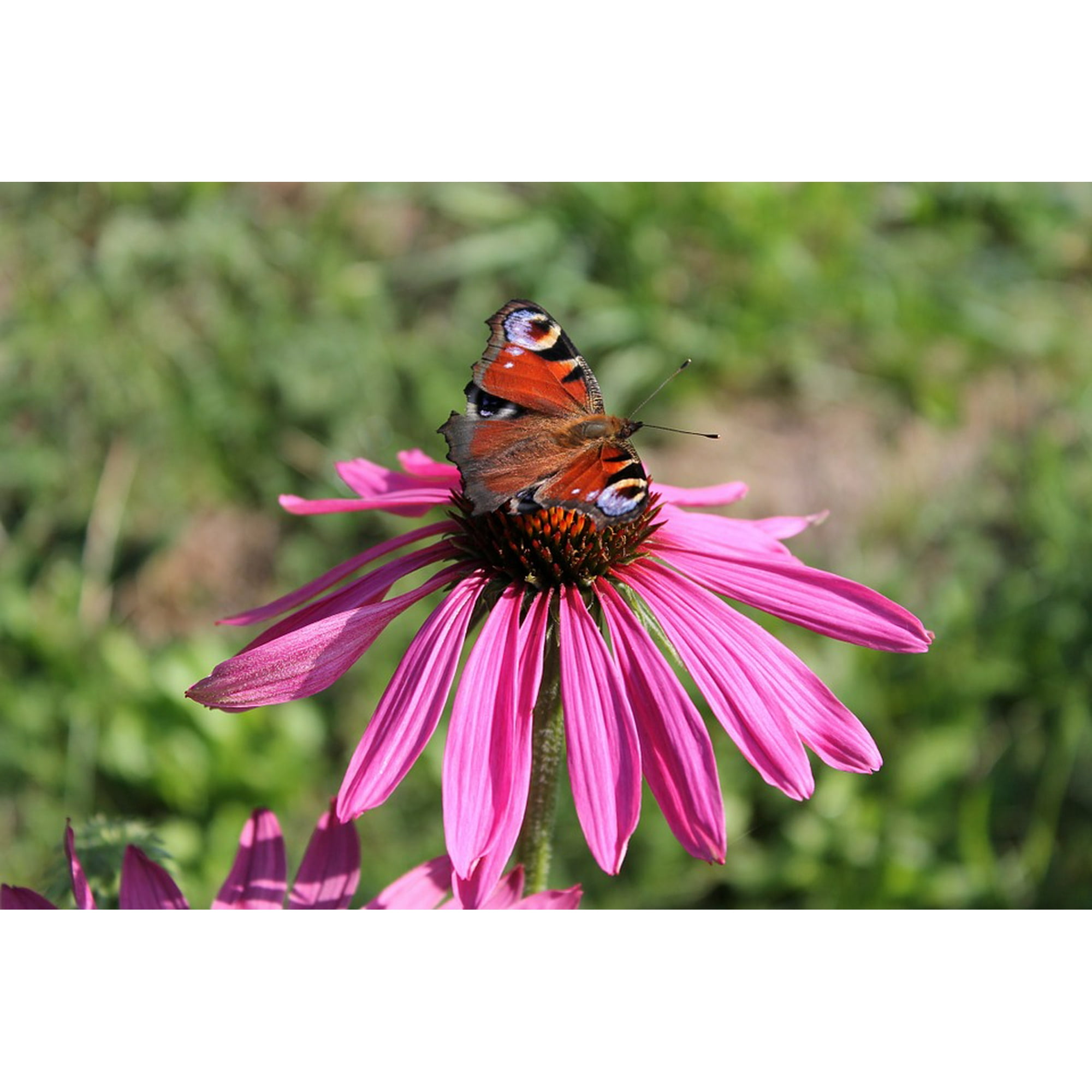 Click here for 3m Filter 700 1pk 16x25 prices