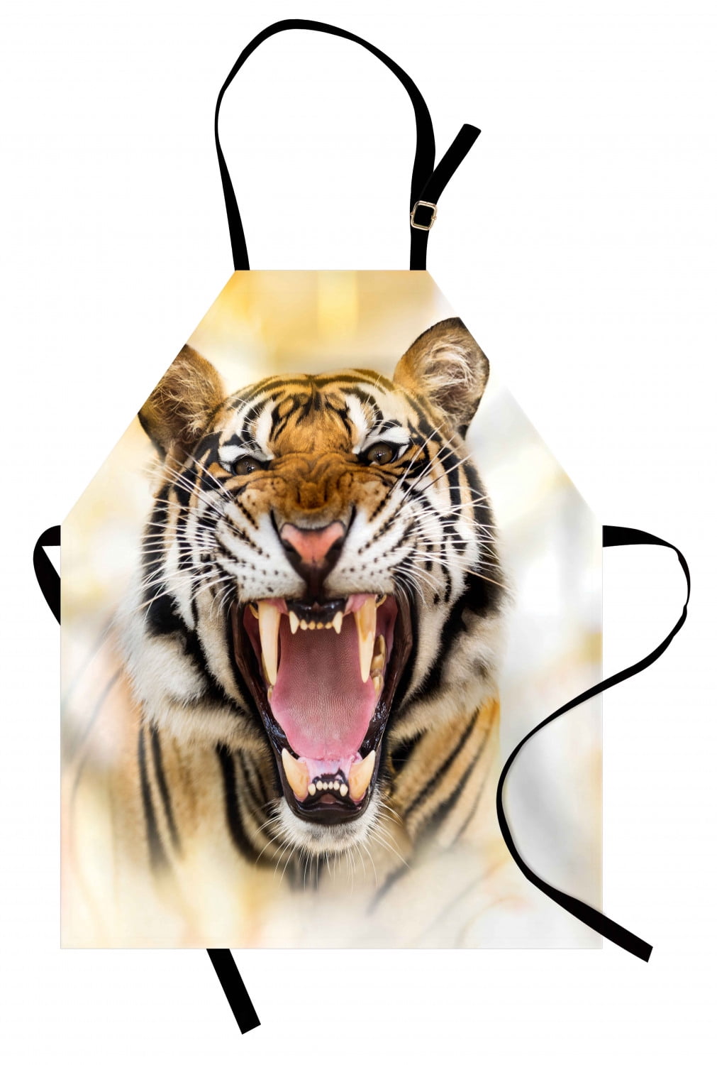 Tiger Apron Young Panthera Tigris Altaica Growling in Angry Manner ...