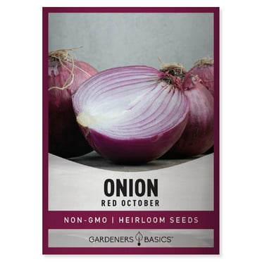 Red Burgundy Onion Seeds -100 Count Seed Pack - Non GMO - A Medium-Size ...