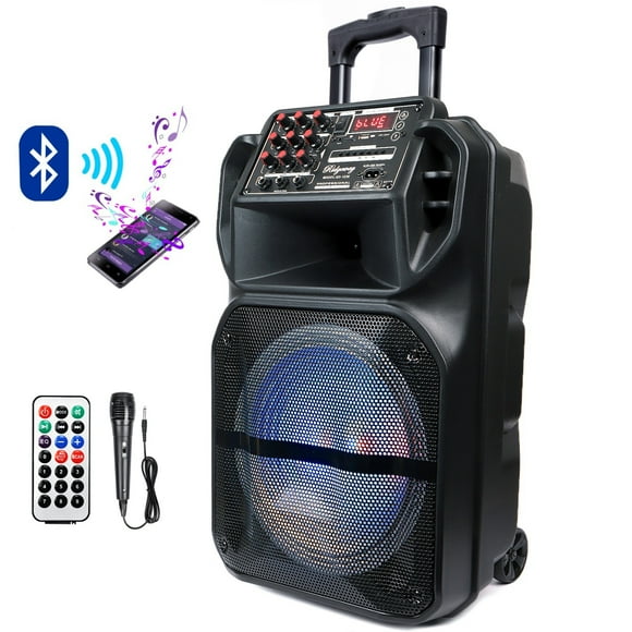 Portable Pa System Wireless Mic