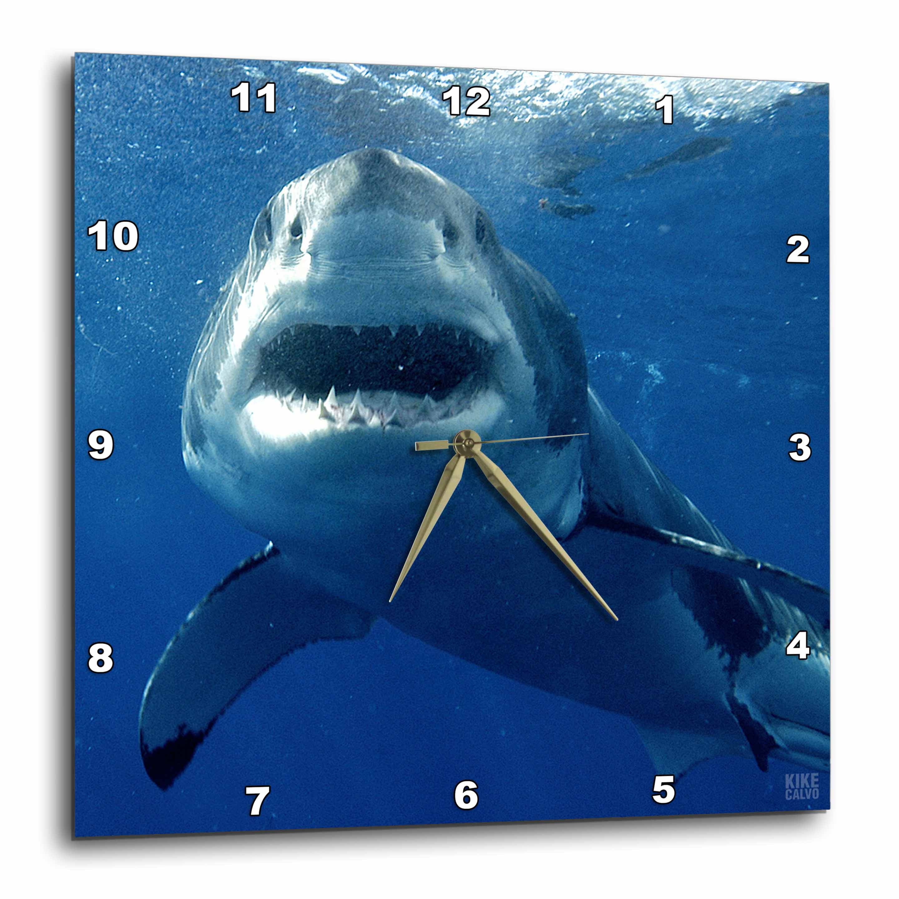 3dRose Great White Shark - Wall Clock, 10 by 10-inch - Walmart.com