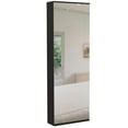 Wall Shoe Rack 54" H, One Mirror, One Door, Five Internal Storage ...