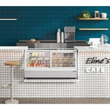 48 in. Self-Service Countertop Display Refrigerator in White (CDC-250 ...