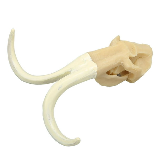 EOTVIA Aquarium Skull Statue Resin Figurine Fish Tank Ornaments Crafts ...