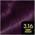 Olia by Garnier Deep Violet 3.16 - Walmart.com
