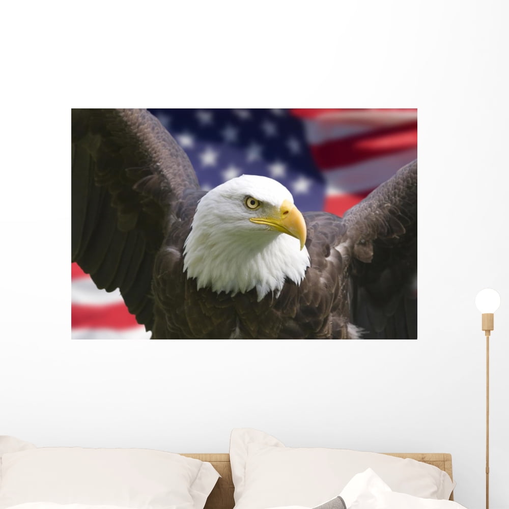Americana Murals American Eagle Wall Mural by Wallmonkeys Peel and ...