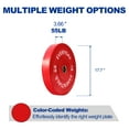 BalanceFrom Olympic Bumper Plate Weight Plate with Steel Hub, Color ...