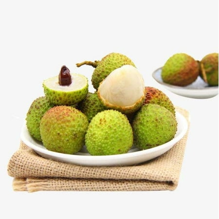 Lychee Tree 5 Seeds - Green Fruit - Essential for Home Orchards ...