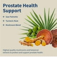 Snap Supplements Prostate Health, Antioxidant Support, 90 Capsules ...