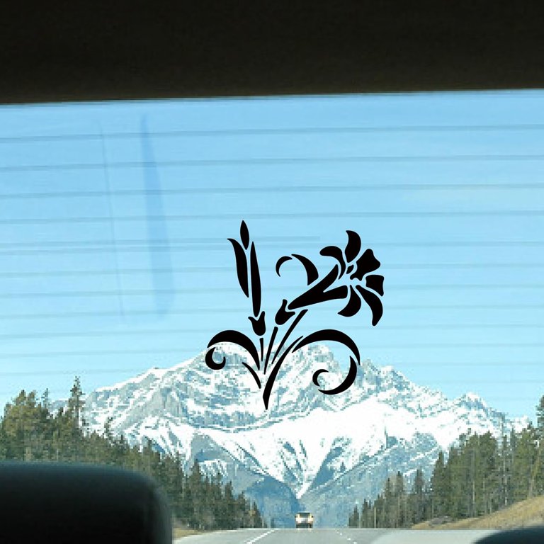 Vinyl Sticker Decal 5 Inch - Waterproof Matte Finish For Cars, Laptops ...