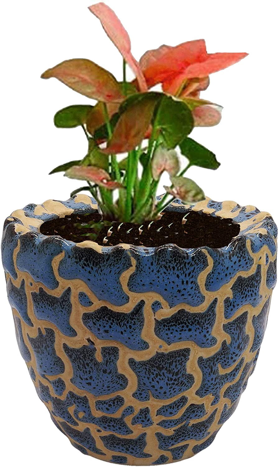India Meets India Ceramic Flower Pot Designer Planter Vase Indoor ...