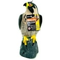 Falcon Decoy Bird Repellent Predator Flashy Reflective Eyes Owl Decoy ...