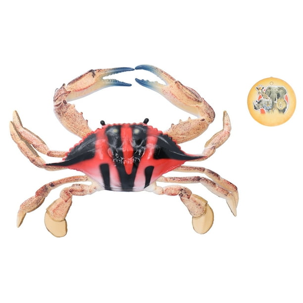 Crab Model,Crab Marine Animal Model Crab Model Figure Crab Model ...