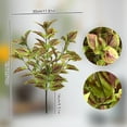 1Pc Artificial Shiso Leaf Artificial Shiso Leaf For Living Room,Plastic ...