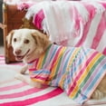 Gap Pet, Dog and Cat Clothes, Striped Gap Dog Dress, Multi-Color, S ...