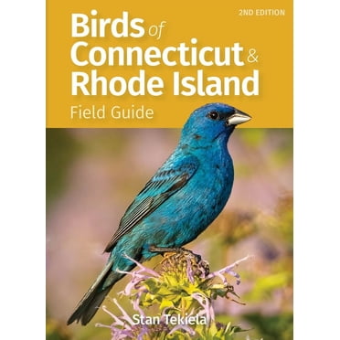 Bird Identification Guides Birds of Michigan Field Guide, (Paperback ...