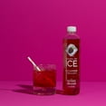 Sparkling Ice® Naturally Flavored Sparkling Water, Black Raspberry 17 Fl Oz, (Pack of 12 ...