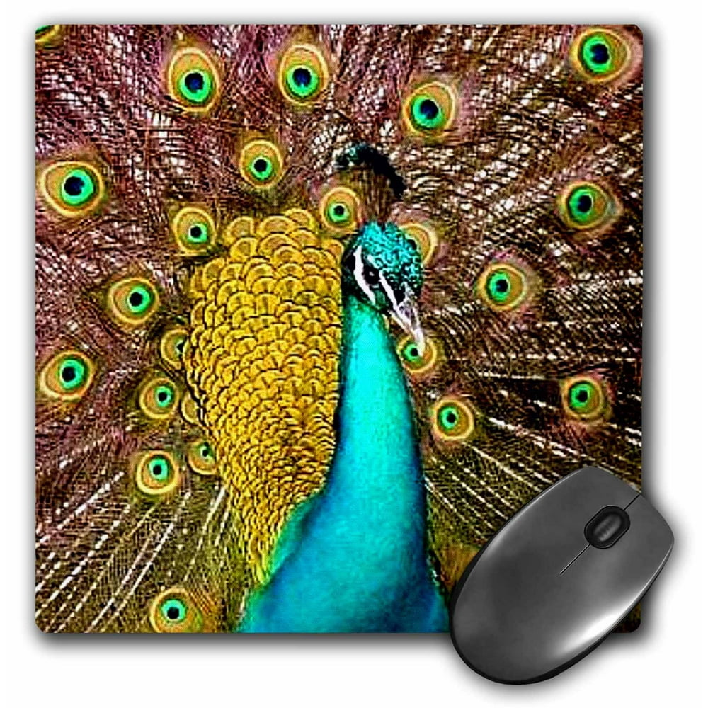 3dRose Colorful Peacock, Mouse Pad, 8 by 8 inches - Walmart.com ...