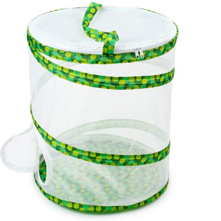 LUNA Portable Insect And Butterfly Habitat Cage Glowworm Pop-up Cage ...