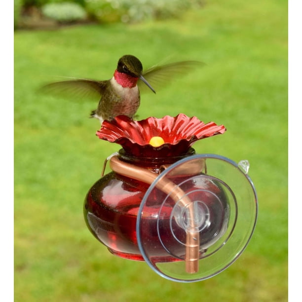 Plow & Hearth Window Watch Hummingbird Feeder - Walmart.com