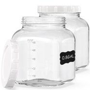 BlenderBottle GoStak Snacking Mini Containers Starter 4pk, Pink ...