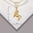 14k Yellow Gold Zodiac Symbol Pendant Necklace Capricorn (18 Inches ...
