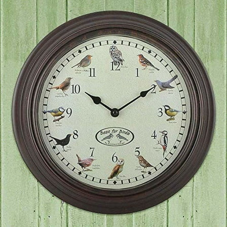 Audubon 13 Inch Singing Bird Wall Clock - Hourly Song, Hanging, Sound ...