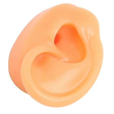 Human Ear Model, Soft Fake Ear Model For Ear Training Left,Right ...