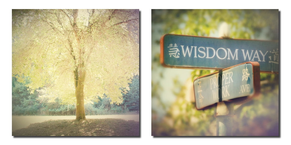 Classic Wisdom Street Sign and Strength Golden Tree Photograph Prints ...