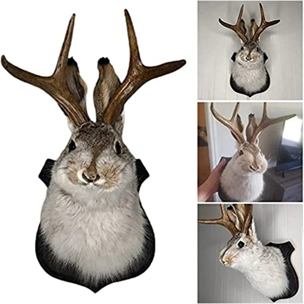 Jackalope Easter Mount, Jackalope Taxidermy, Animal Head Wall Decor ...