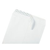 Staples EasyClose Catalog Envelopes 9"L x 12"H White 100/Box (379479/ ...