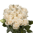 50 Stems Of Ivory Roses Beautiful Fresh Cut Flowers Express Delivery