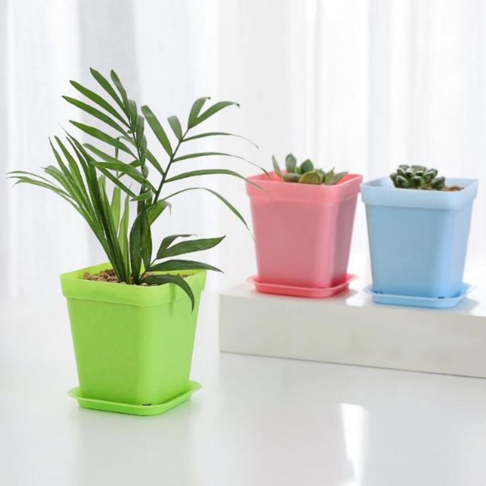 Hariumiu Garden Multi Fleshed Colorful Plastic Flower Pot with Tray ...