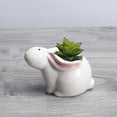 Ceramic Flower Pot for Succulents Herbs Small Plants - 2.5 Inch Mini ...